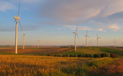 Coca-Cola launches ‘World Without Waste’ campaign - Climate Action