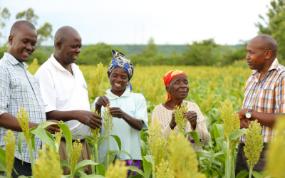 IRENA: Off-grid sector emerges to plug energy access gaps - Climate Action